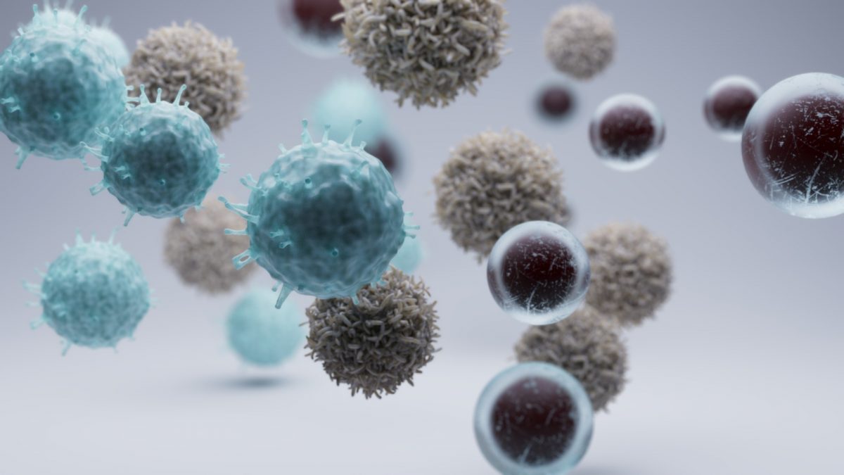 LH MEDICAL | LOBOHOUSE